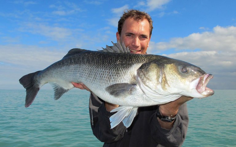 Le bar record du monde de Guillaume Fourrier