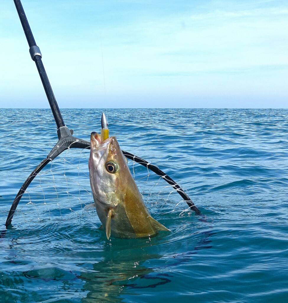 Techniques de pêche et poissons de Normandie